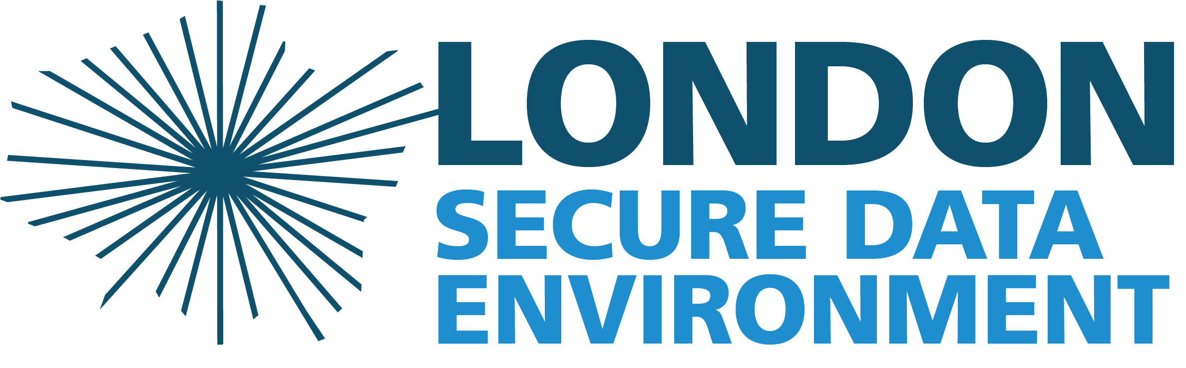 London Secure Data Environment - OneLondon
